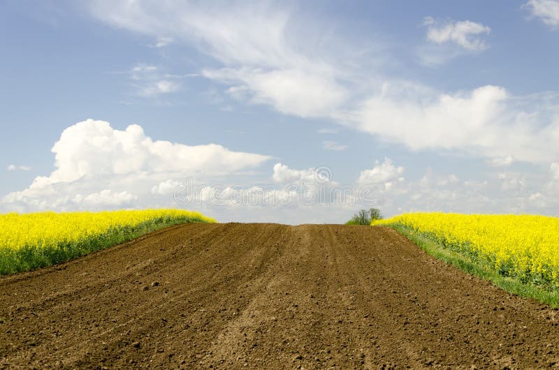 Campo arado imagen de archivo. Imagen de foto, cielo - 31369167