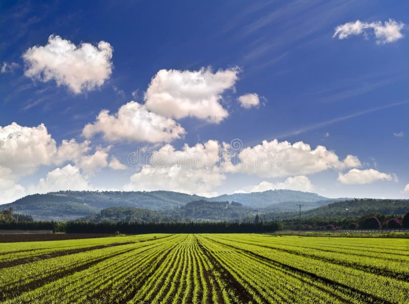 Campo arado imagen de archivo. Imagen de surco, cultivable - 7643925