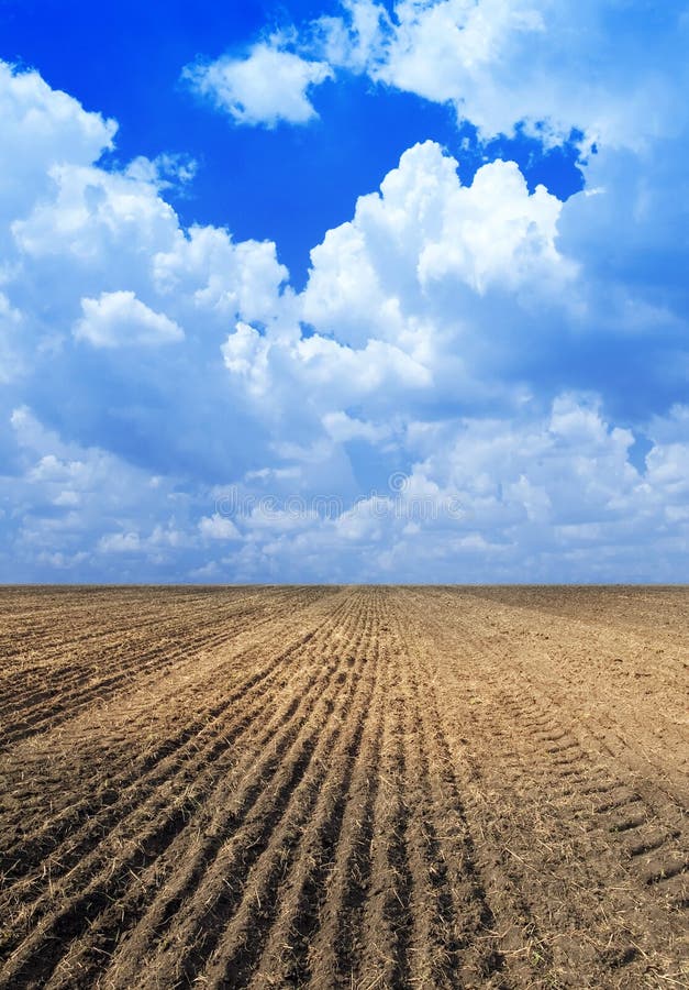 Campo arado. foto de archivo. Imagen de exterior, rural - 9410966