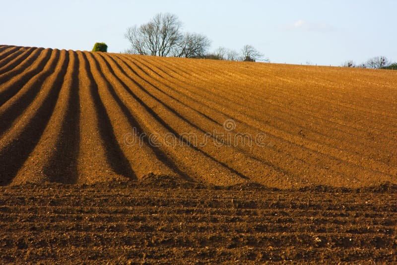 Campo arado imagen de archivo. Imagen de campo, rural - 9771581