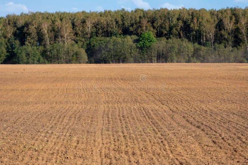 Campo Arado Con El Bosque En El Fondo Foto de archivo - Imagen de ...