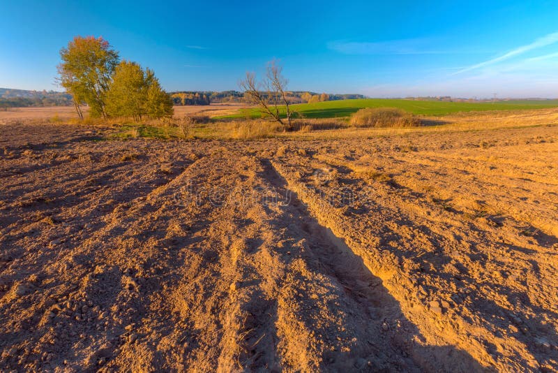 Campo Arado En Paisaje Ligero De Oro Foto de archivo - Imagen de pista ...