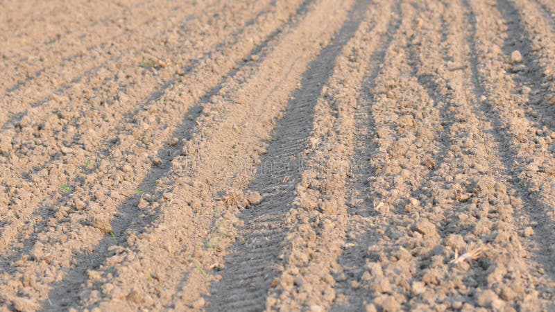 Campo arato fotografia stock. Immagine di coltivato, montagna - 84397748