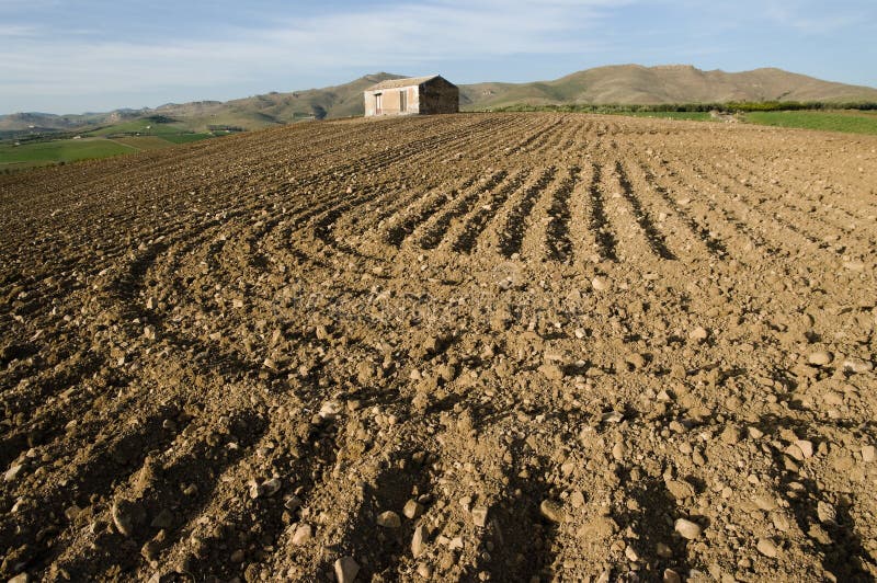 Campo arato fotografia stock. Immagine di farmland, fattoria - 12794494