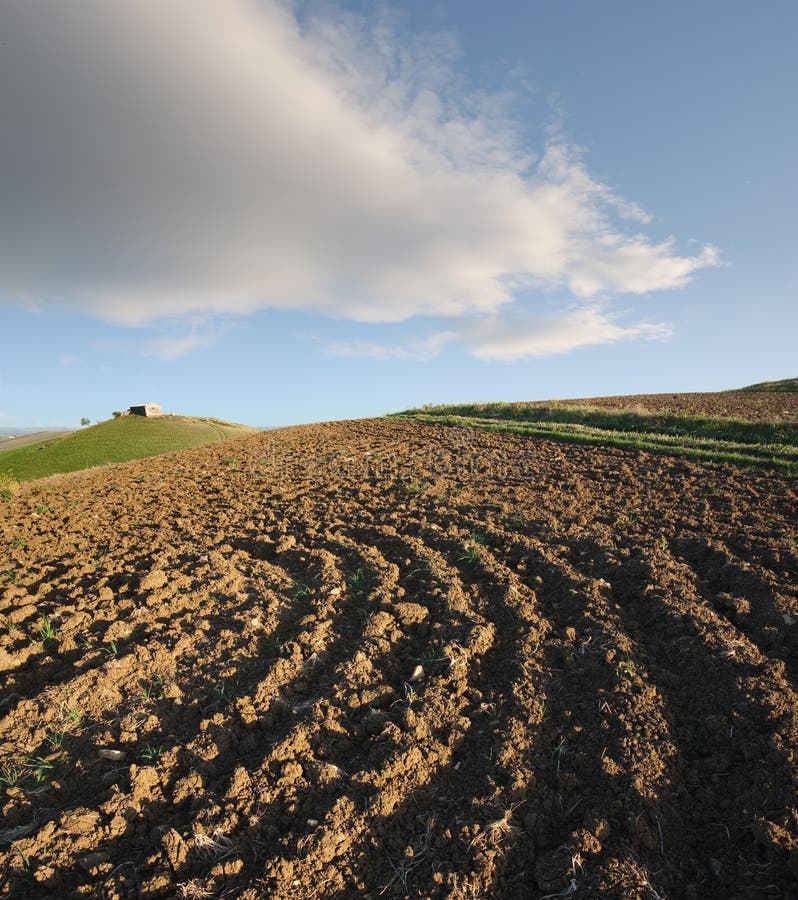 Campo arato fotografia stock. Immagine di farmland, fattoria - 12794494