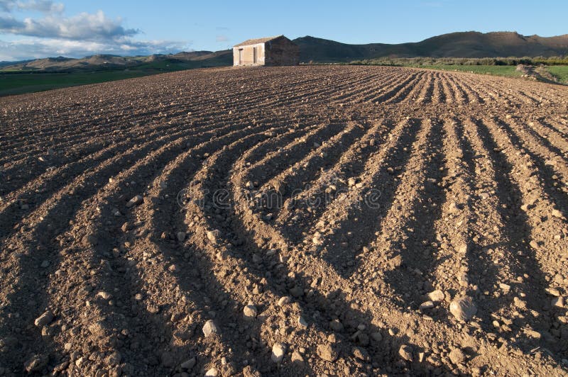 Campo arato fotografia stock. Immagine di capanna, scanalato - 13069026