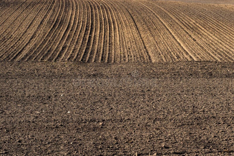 Campo arato fotografia stock. Immagine di terreno, arato - 13829054