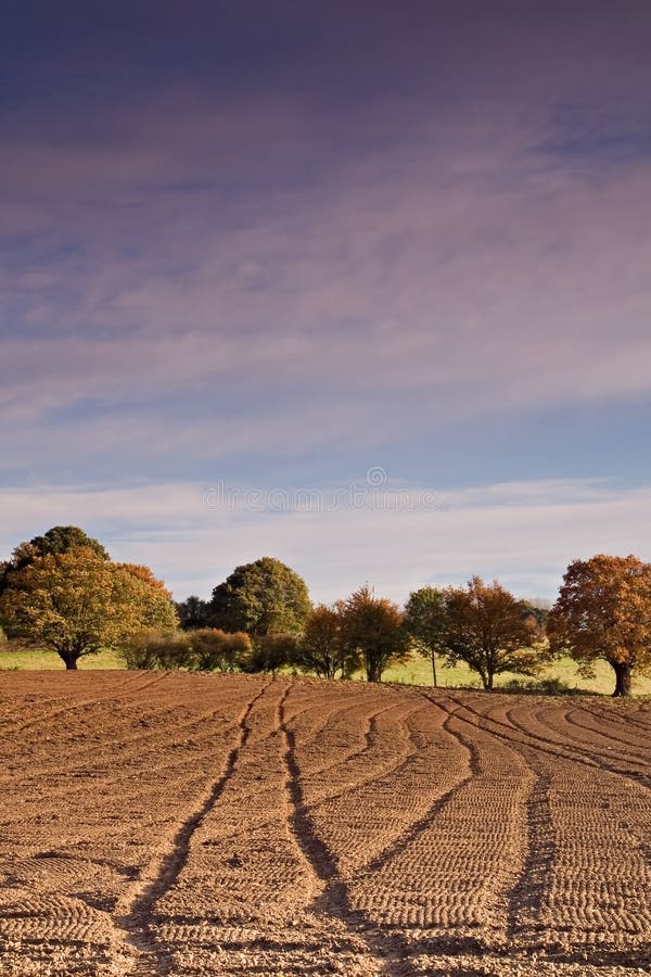 Campo arato immagine stock. Immagine di fango, cielo, podere - 1554615