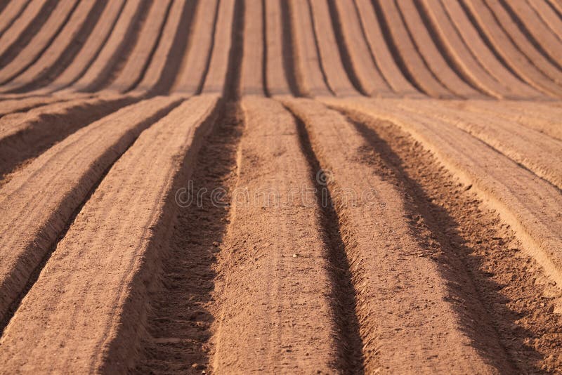 Campo arato fotografia stock. Immagine di campo, pianta - 18937610