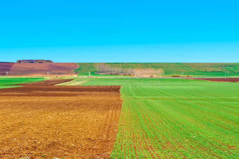 Campo arato immagine stock. Immagine di terra, fango - 19506249