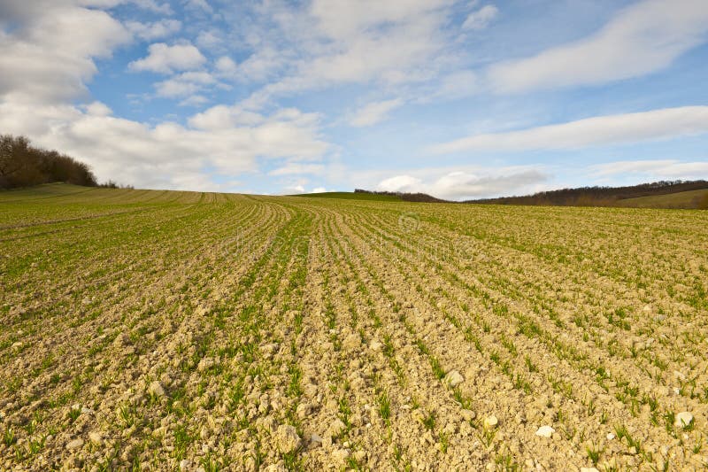 Campo arato fotografia stock. Immagine di fresco, arabile - 22200168