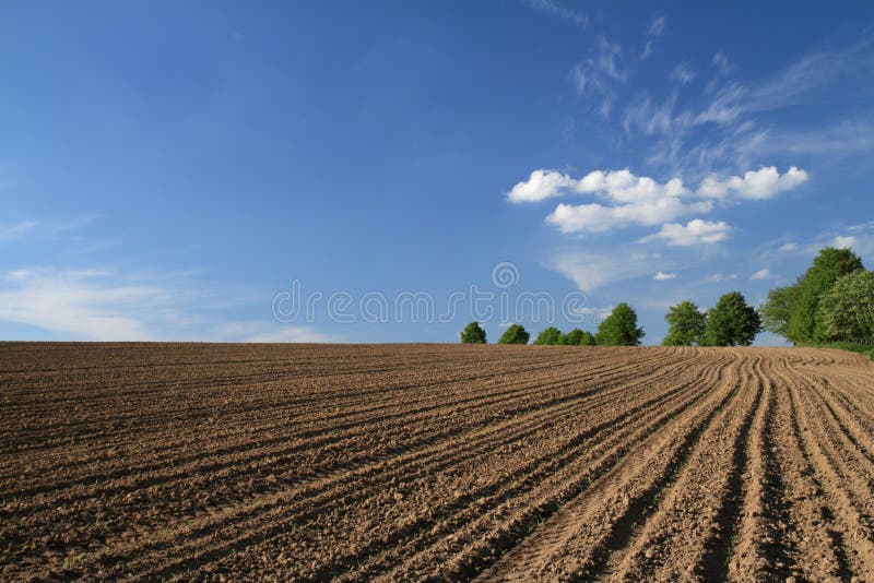 Campo arato immagine stock. Immagine di paesaggio, organico - 24705489
