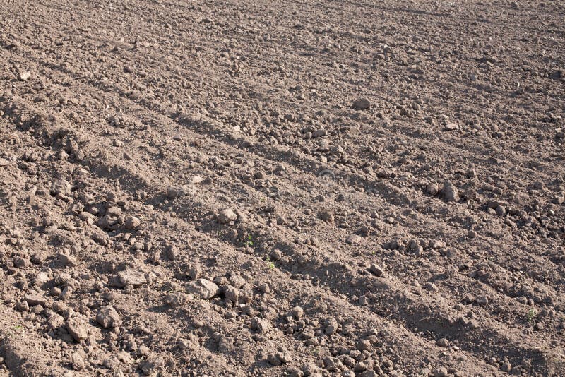 Campo arato immagine stock. Immagine di struttura, estate - 31919437