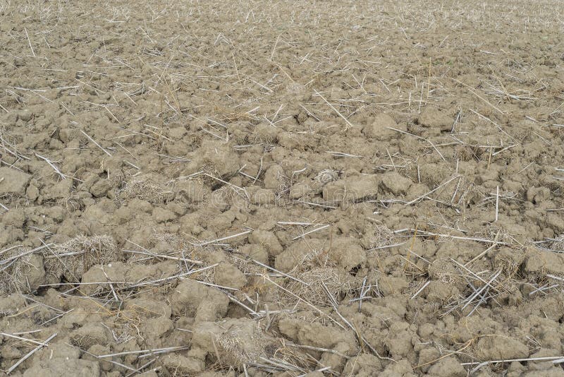 Campo arato fotografia stock. Immagine di ambiente, terreno - 44856378