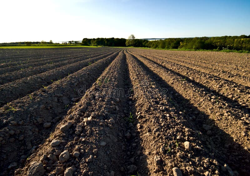 Campo arato fotografia stock. Immagine di normale, terreno - 5192316