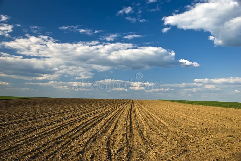 Campo arato fotografia stock. Immagine di campo, seme - 9661140
