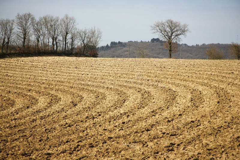 Campo Arato Agricolo Della Terra In Deserto Fotografia Stock - Immagine ...