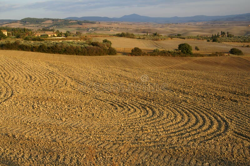 Campo Arato Agricolo Della Terra In Deserto Fotografia Stock - Immagine ...