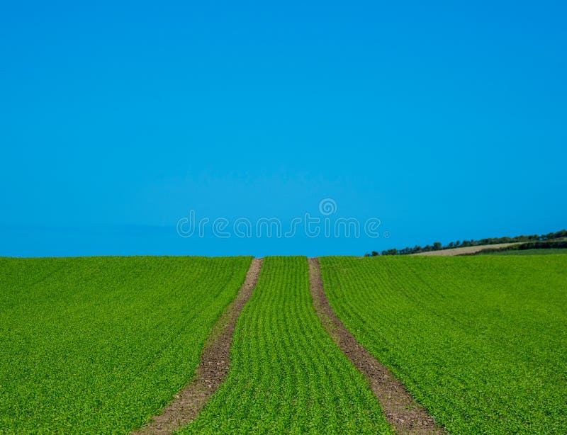 Campo arato immagine stock. Immagine di colture, piste - 95900231