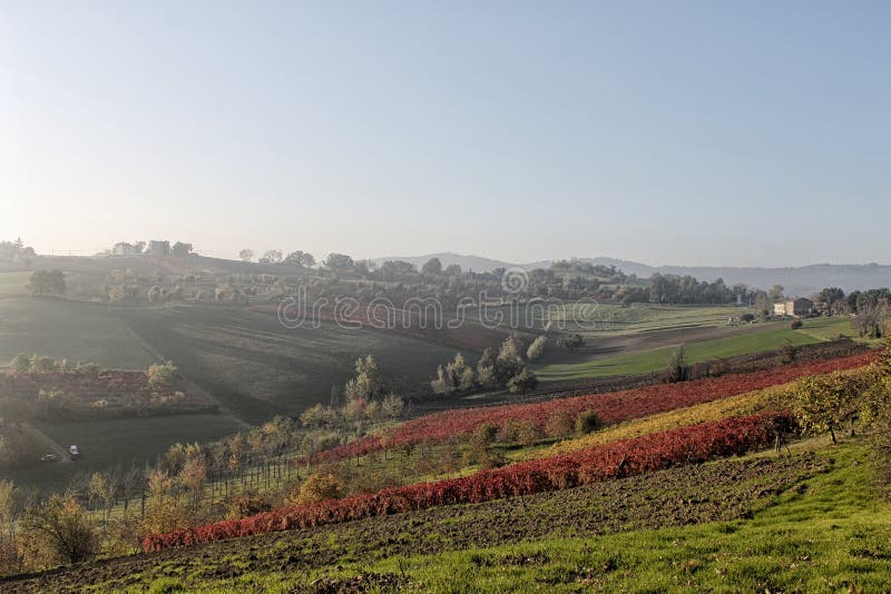 Campo calmo foto de stock. Imagem de calmo, prado, gramado - 64314576