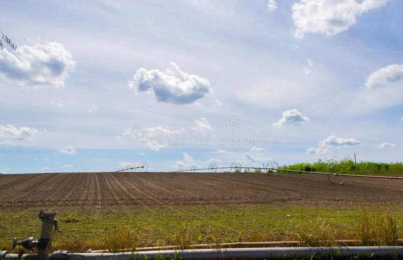 Campo Com Sistema De Irriga??o Imagem de Stock - Imagem de grama ...