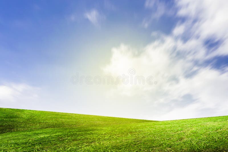 Campo De Césped Con Fondo De Cielo Foto de archivo - Imagen de bosque ...