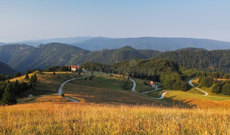 Campo De La Colina Con El Pasto Y El Bosque Foto de archivo - Imagen de ...