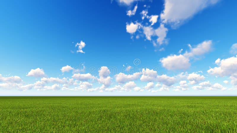 Campo De La Hierba Y Del Cielo Perfecto Imagen de archivo - Imagen de ...