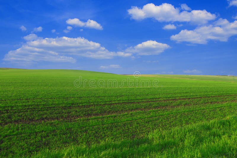 Paisaje De Windows Xp Fotos de stock - Fotos libres de regalías de ...