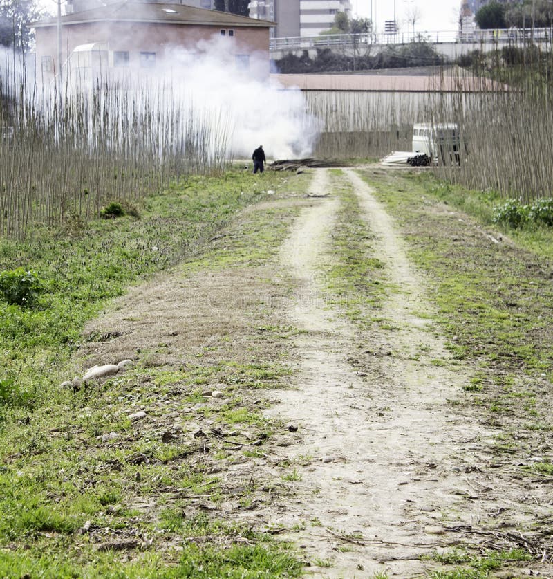 Campo de rastrojo ardiente imagen de archivo. Imagen de ambiente - 87576595