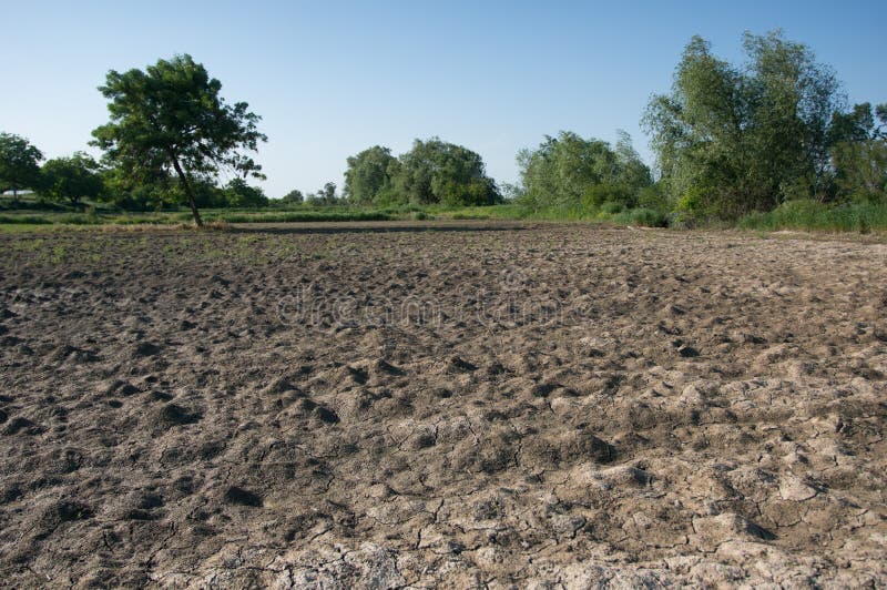 Campo Devastado Con Senderos De Humo Durante El Incendio Imagen de ...