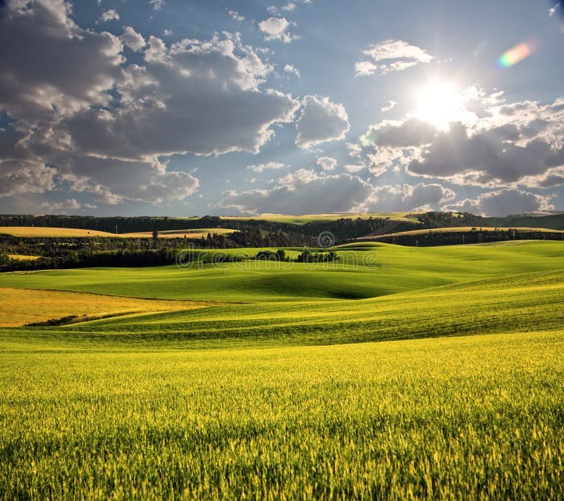 Campo e sol imagem de stock. Imagem de prado, colorido - 6140693