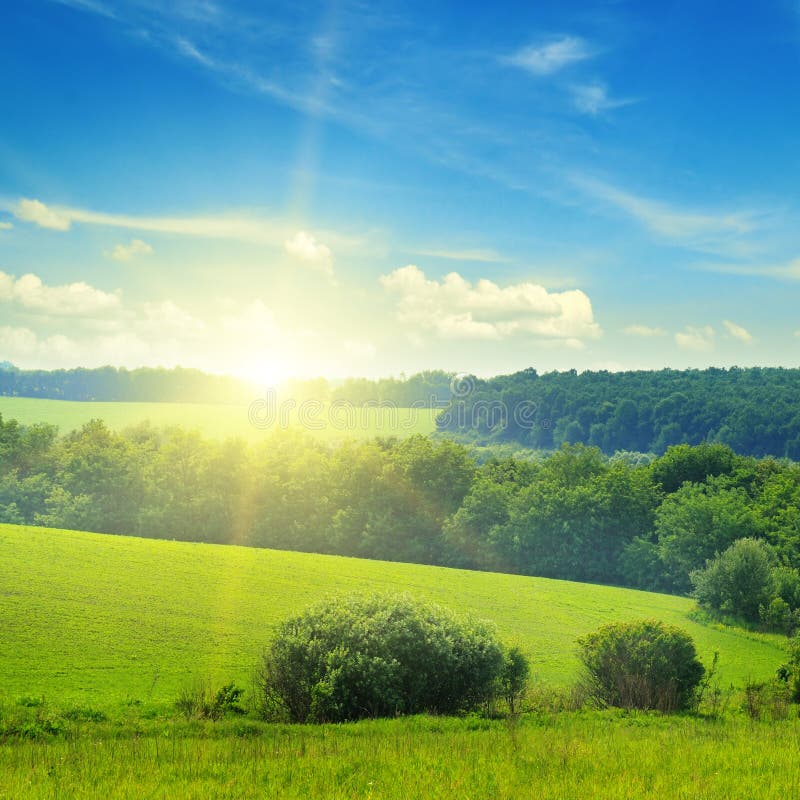 Campo, Salida Del Sol Y Cielo Azul Imagen de archivo - Imagen de ...
