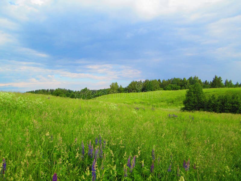 Campo verde foto de archivo. Imagen de nuevo, tapa, campo - 112929386
