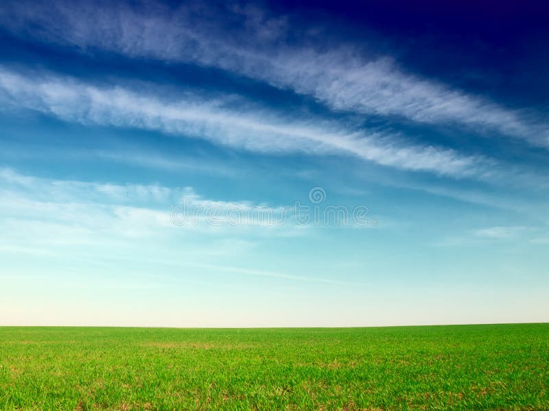 Campo verde imagem de stock. Imagem de gramado, brilhantemente - 15249019