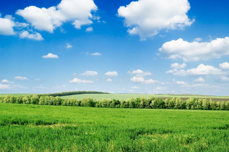 Campo verde foto de archivo. Imagen de fondos, claro, celaje - 3605526