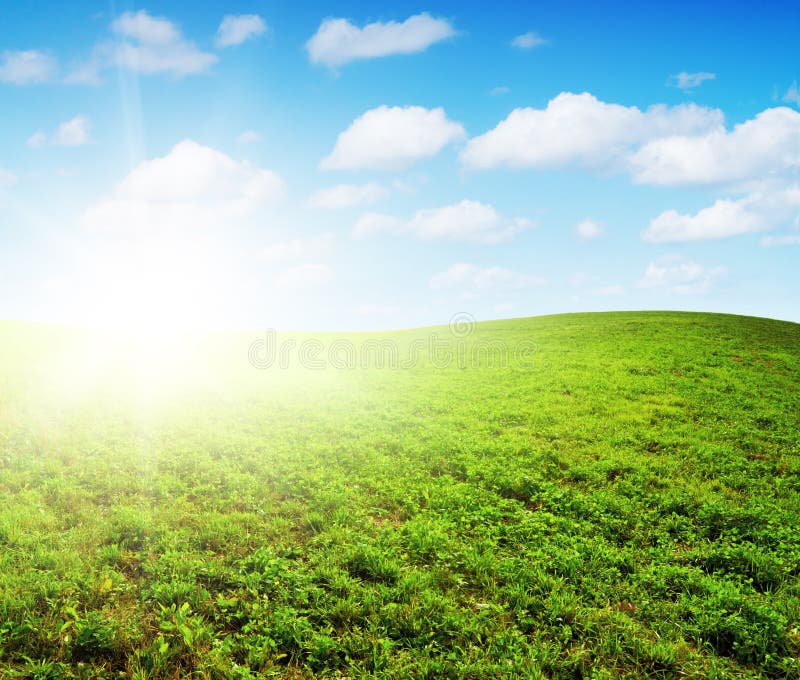 Campo Verde Bajo El Sol Del Mediodía Imagen de archivo - Imagen de ...