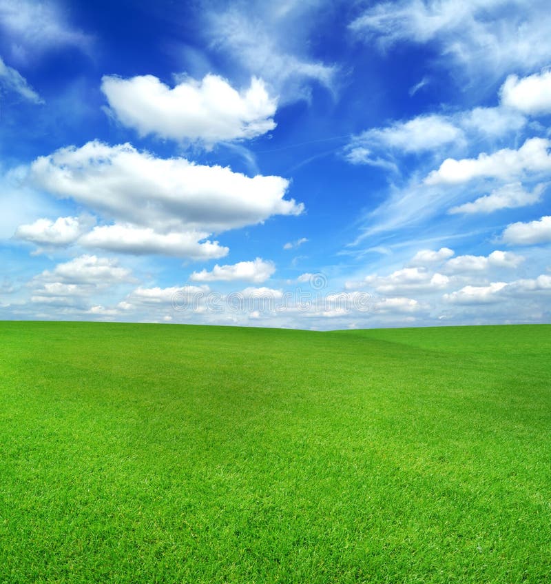 Campo Verde, Bosque Y Cielo Azul. Fondo Del Paisaje Del Verano Foto de ...