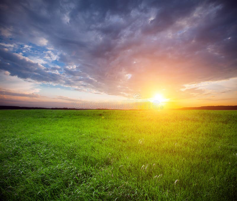 Campo Verde Y Puesta Del Sol Hermosa Foto de archivo - Imagen de afuera ...