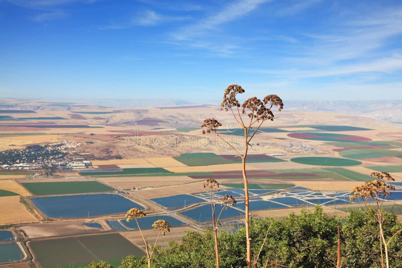 Campos, Prados E Vilas Do Monte Gilboa Imagem de Stock - Imagem de céu ...