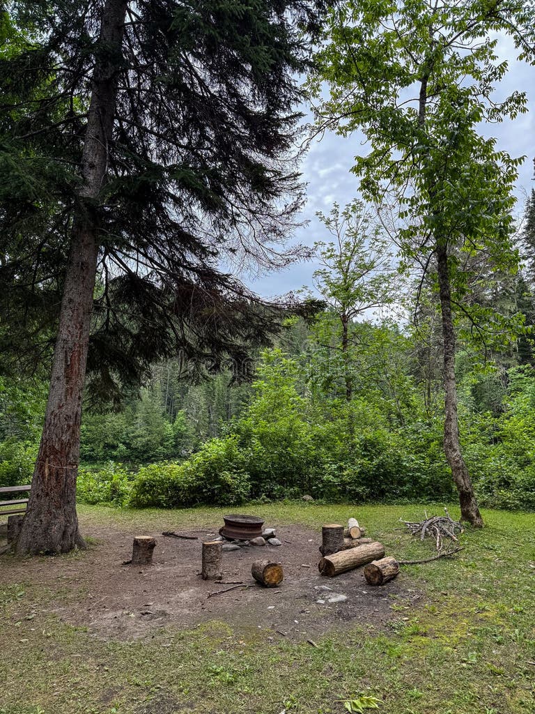 791 Stock Clearing Stock Photos - Free & Royalty-Free Stock Photos from ...