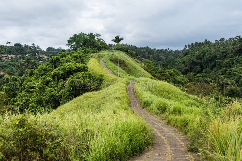 Campuhan Ridge Walk image stock. Image du arête, central - 56854671