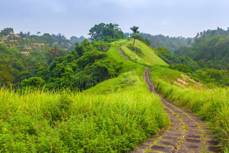 Campuhan Ridge Walk, Ubud, Bali, Indonesia Imagen de archivo - Imagen ...