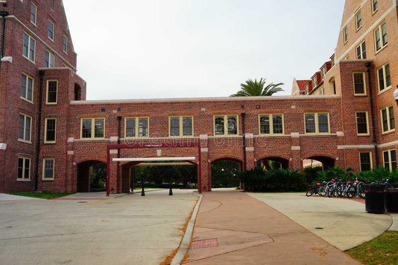 Florida State University stock photo. Image of state - 103739568