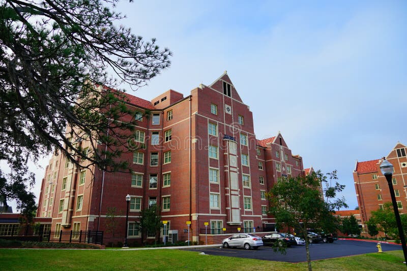 Florida State University stock photo. Image of seminoles - 103739570