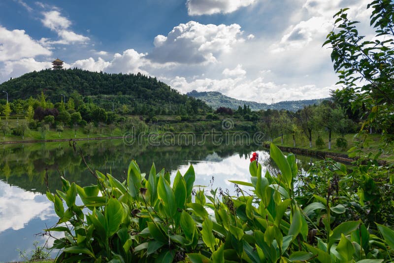 Campus Scenery of China West Normal University, Sichuan, China Stock ...