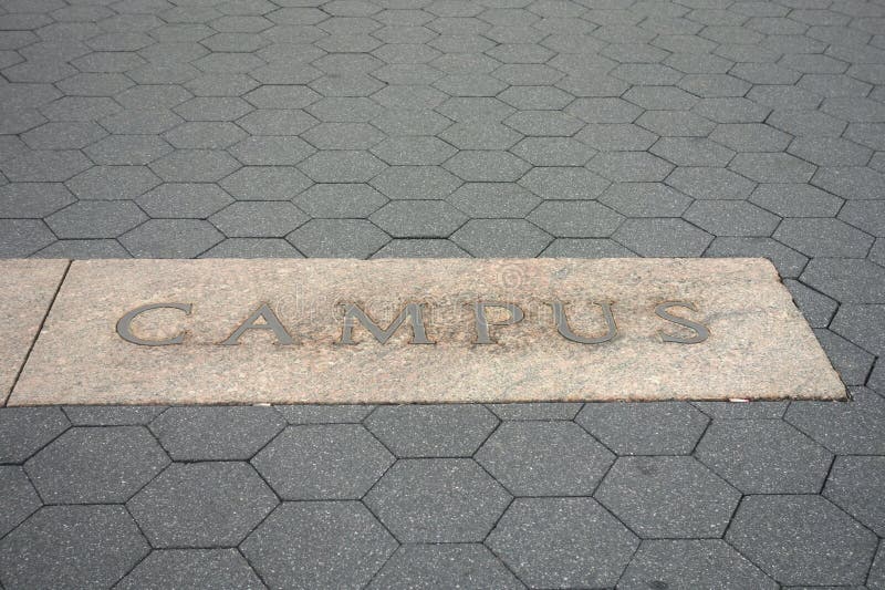 Campus stock image. Image of university, school, study - 44595533