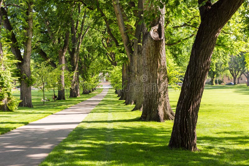 Campus stock photo. Image of state, united, daytime, college - 88414188