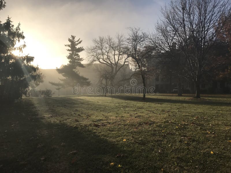 Windy morning stock image. Image of details, landscape - 10917515