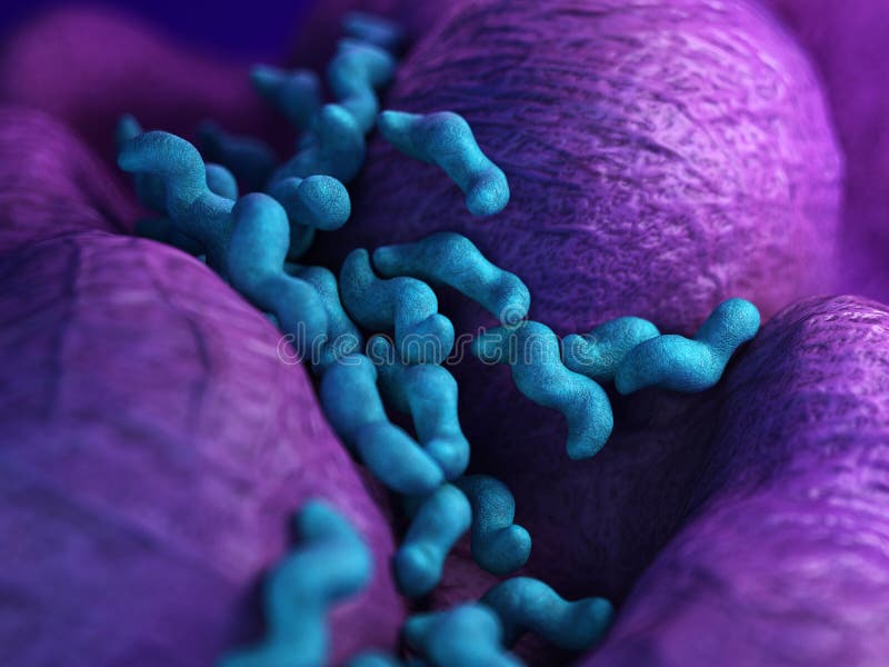 Campylobacter Stock Illustrations – 185 Campylobacter Stock ...